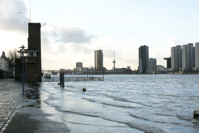 Climate Adaptive Rotterdam | Defacto Urbanism